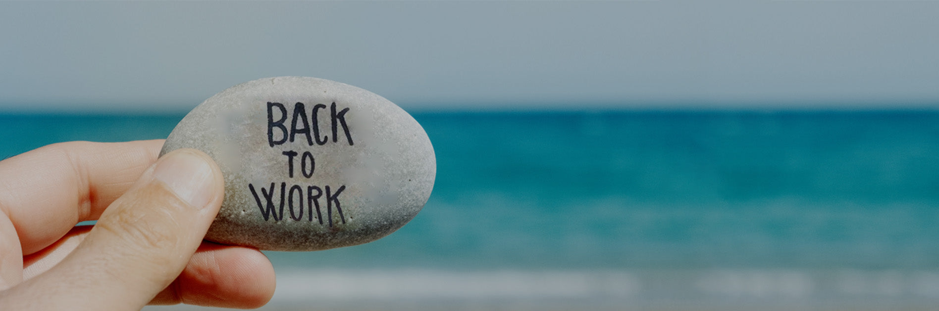 Back to Work Kicks After Summer Vacation | Cape Robbin