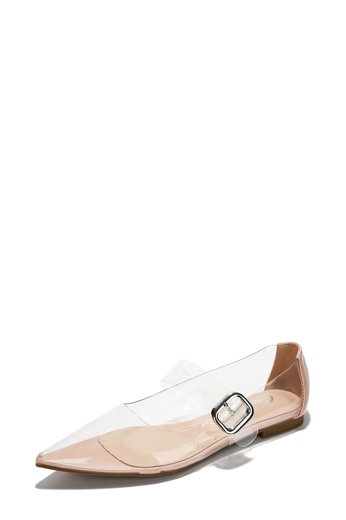 Linzy Buckle Strap Point Toe Ballet Flats – Cape Robbin